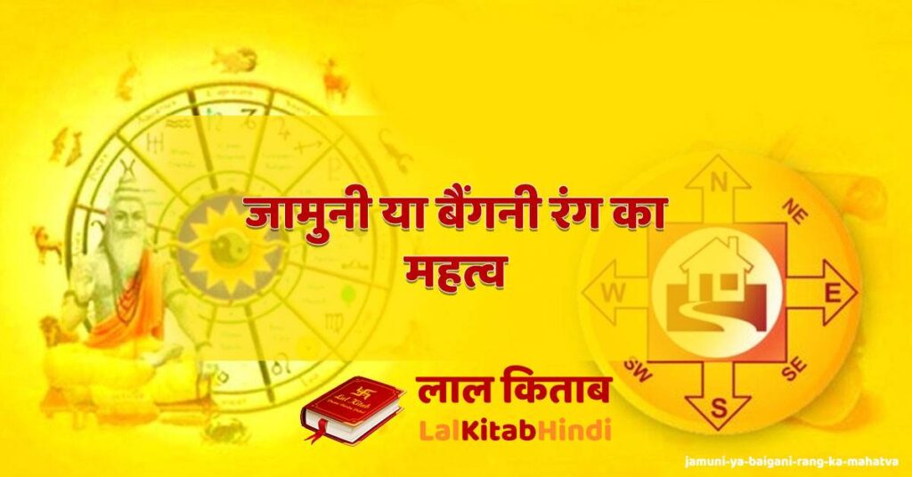 जामुनी या बैंगनी रंग का महत्व - jamuni ya baigani rang ka mahatva ...