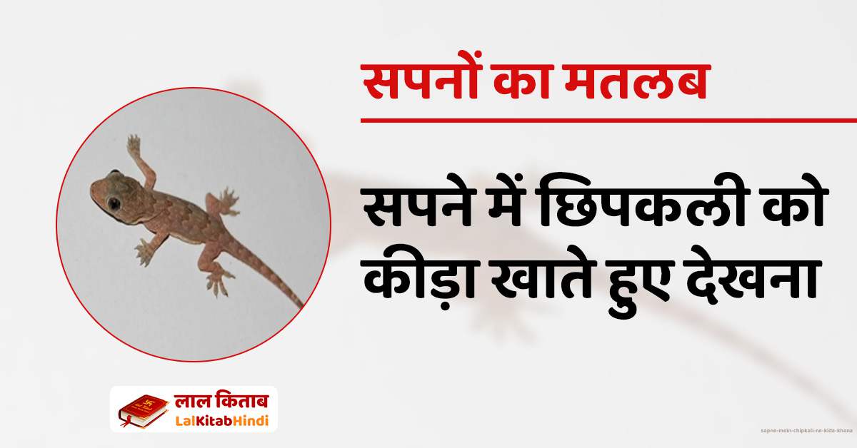 सपने में छिपकली को कीड़ा खाते हुए देखना - Sapne mein Chipkali ne kida khana