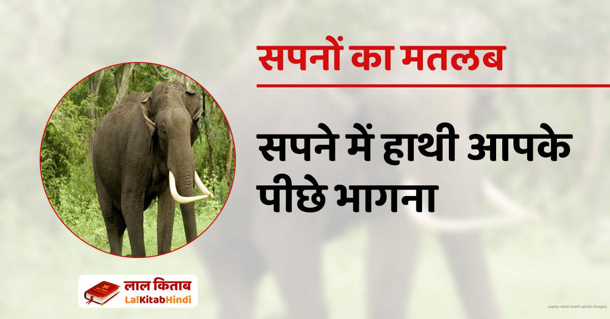 सपने में हाथी आपके पीछे भागना - Sapne Mein Hathi Piche Bhagna